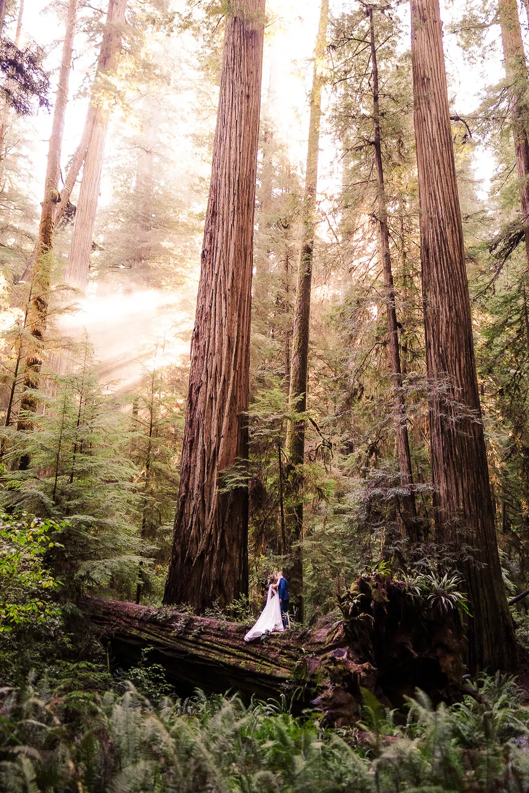 39 Most Romantic Elopement Destinations in 2025 | The Foxes Photography